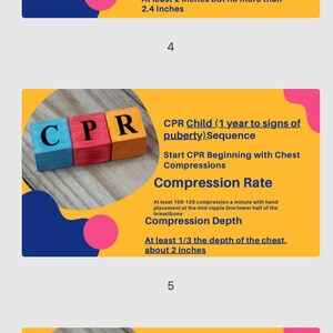 BLS Study Guide - Etsy