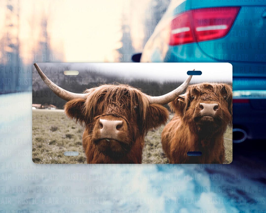 Highland Cow Car License Plate, Cute Vanity Plate Gift for Her, Cow ...