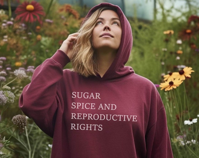 Sugar Spice and Reproductive Rights Sweatshirt,feminist Hoodie ,womens ...