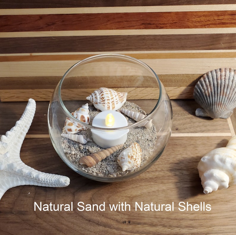 Beach Centerpiece Shell Centerpiece Seashell Decor Beach - Etsy