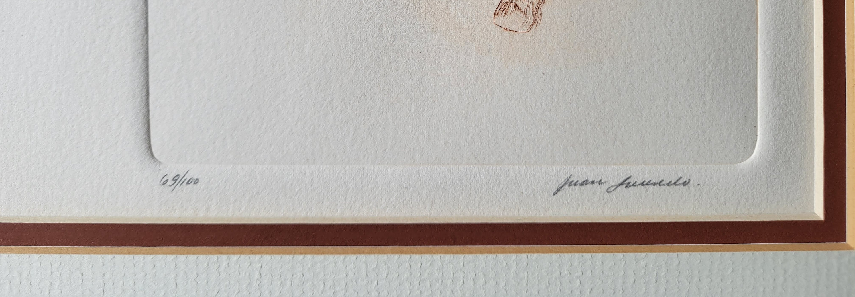 Original Copperplate Engraving of Unicorn - Etsy