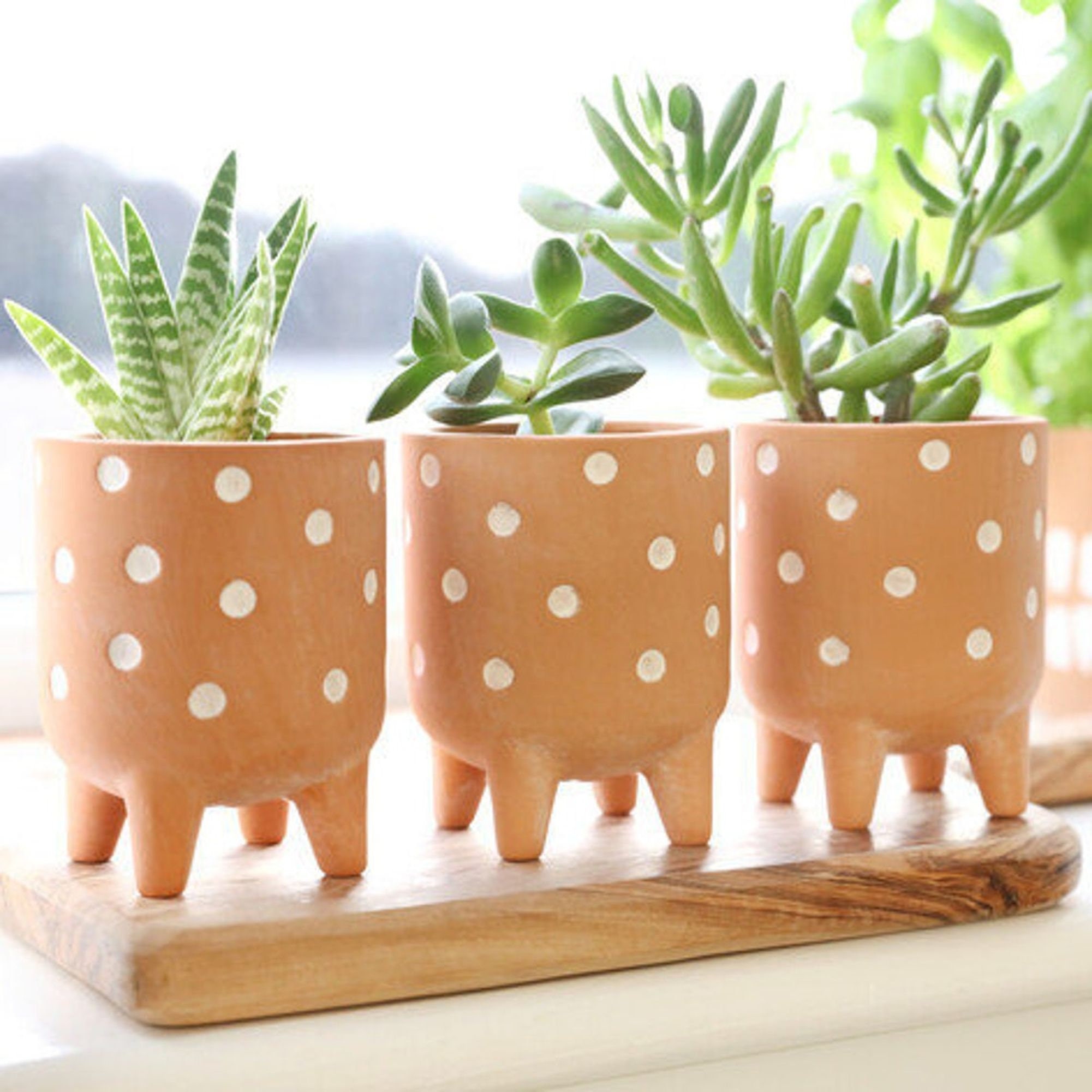 Indoor Planters Mini Planter Terracota Standing Planter 2022 3 Pcs Tiny ...