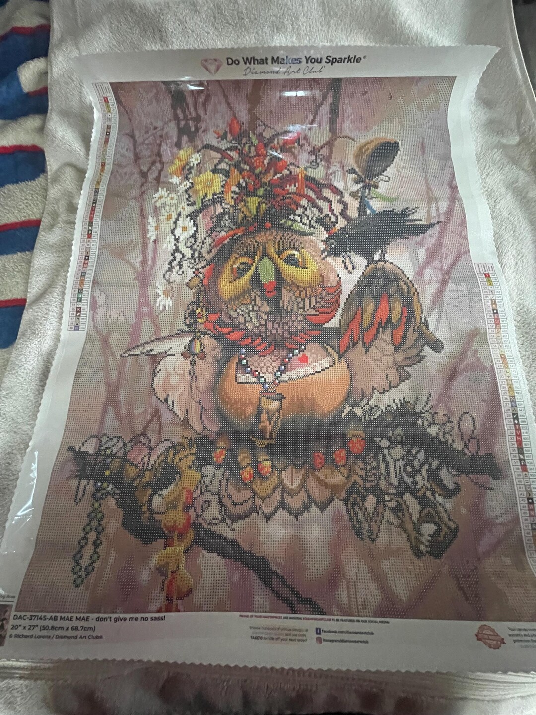 Destash Diamond Art Club MAE MAE Don't Give Me No Sass Diamond Painting ...