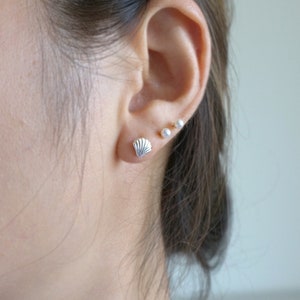 Scallop Shell Silver Earrings - Dainty 925 Sterling Silver Stud Friction Push Back Earrings, Fan ...