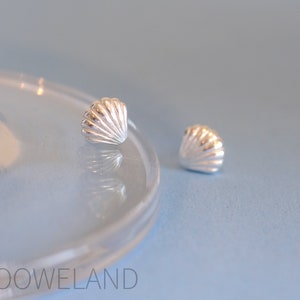 Scallop Shell Silver Earrings - Dainty 925 Sterling Silver Stud Friction Push Back Earrings, Fan ...