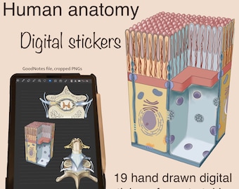 Hand Drawn Human Anatomy Digital Stickers Pack of 12 Dif. Stickers for ...