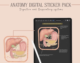 Anatomy Note Taking - Etsy