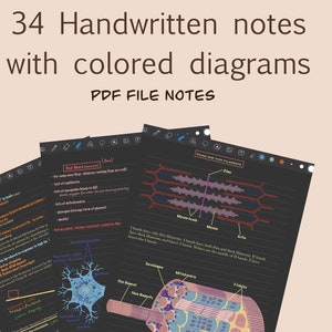 Hand Drawn Human Anatomy Digital Stickers Pack of 12 Dif. Stickers for ...