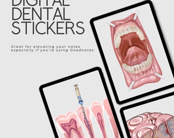 Hand Drawn Human Anatomy Digital Stickers Pack of 17. for - Etsy