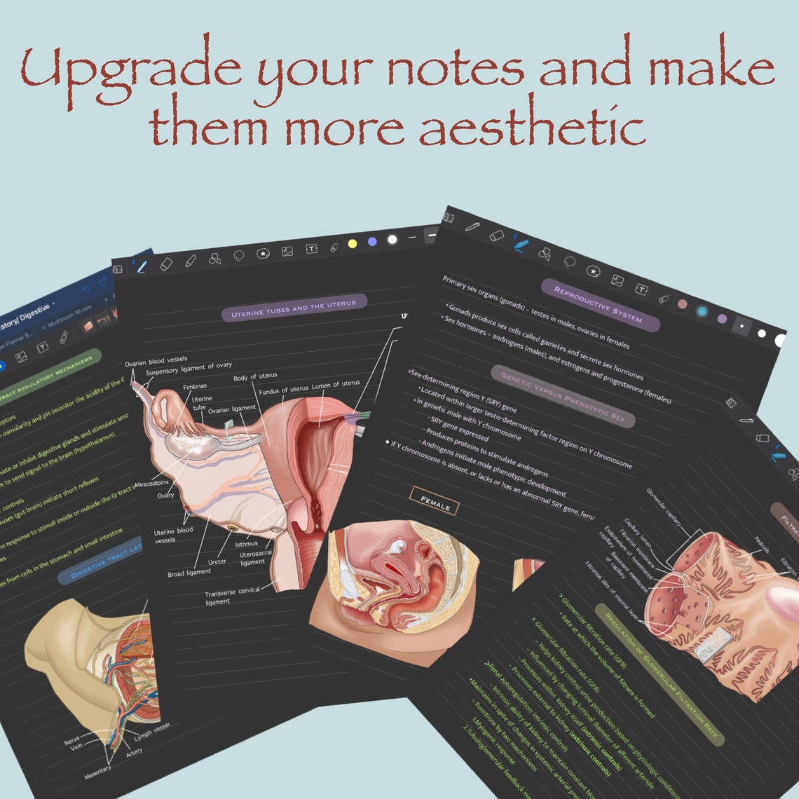 Hand Drawn Anatomy Digital Stickers Pack of 12 Dif. Biology - Etsy