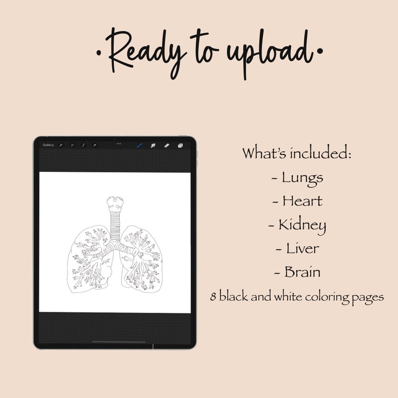 Anatomy Coloring Pages PDF Or Goodnotes Coloring Etsy Anatomy Coloring Pages PDF Or Goodnotes Coloring Etsy