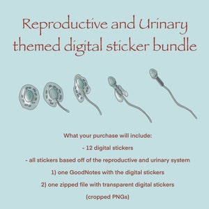 Hand Drawn Anatomy Digital Stickers Pack of #12 Dif. Biology Stickers ...