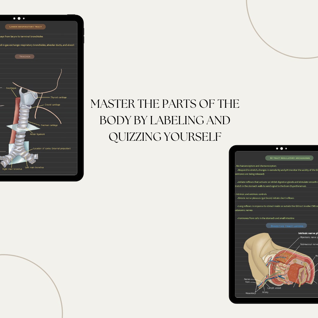 2.4 Anatomy and Physiology 2 Notes. Anatomy Made Extremely Easy. Get ...