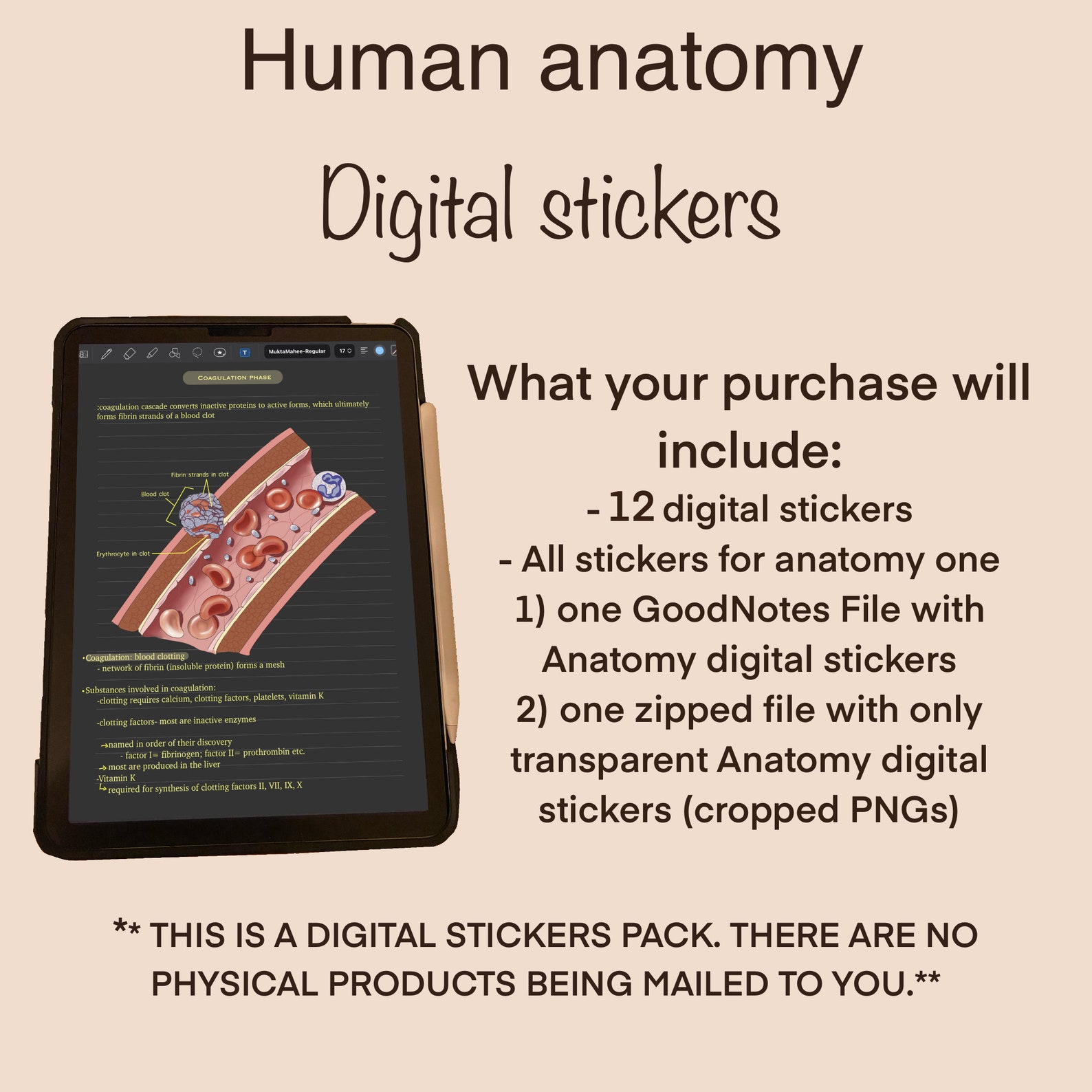 Hand Drawn Human Anatomy Digital Stickers Pack of 12 Dif. | Etsy