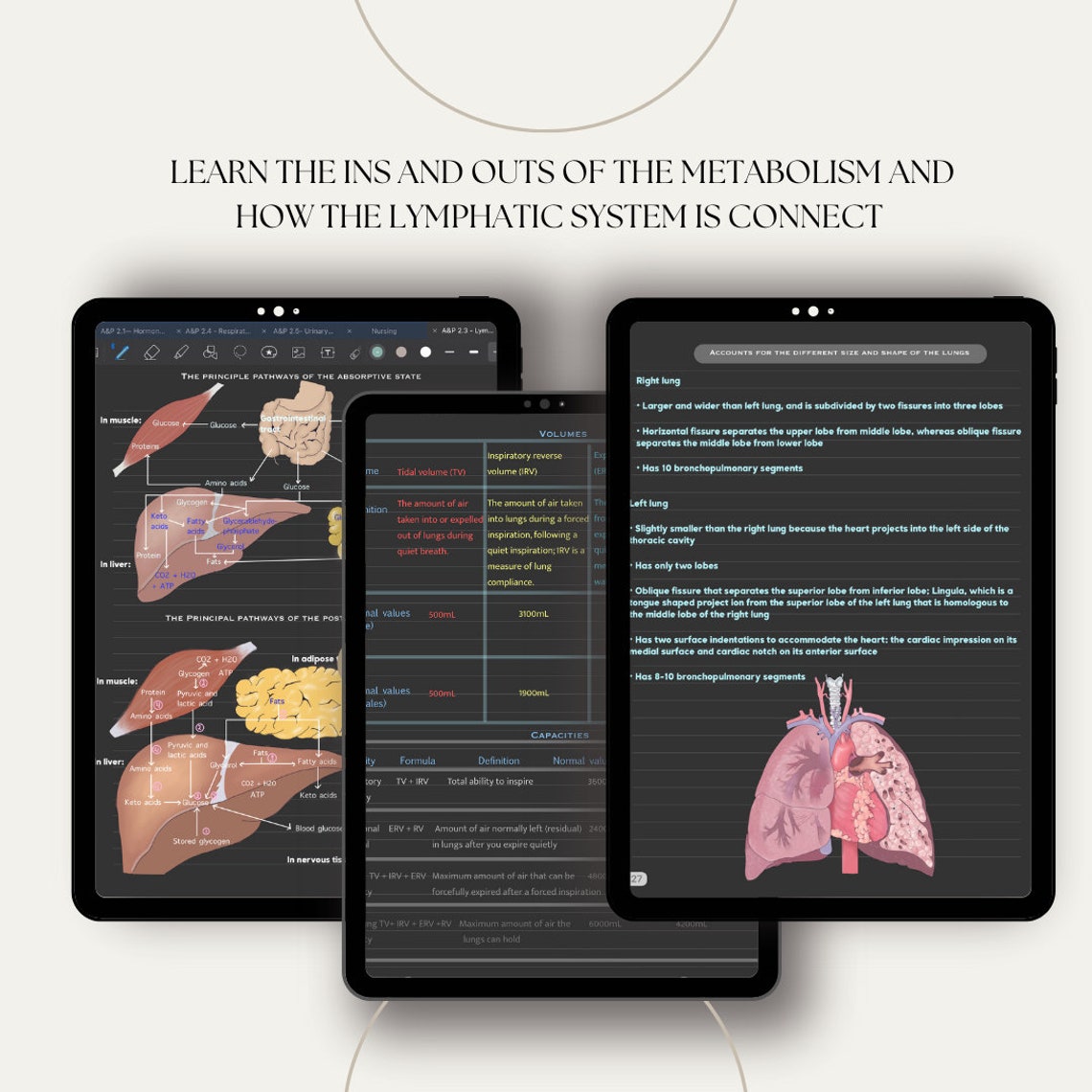 2.3 Anatomy and Physiology 2 Notes 27 Pages. Anatomy Made Extremely ...