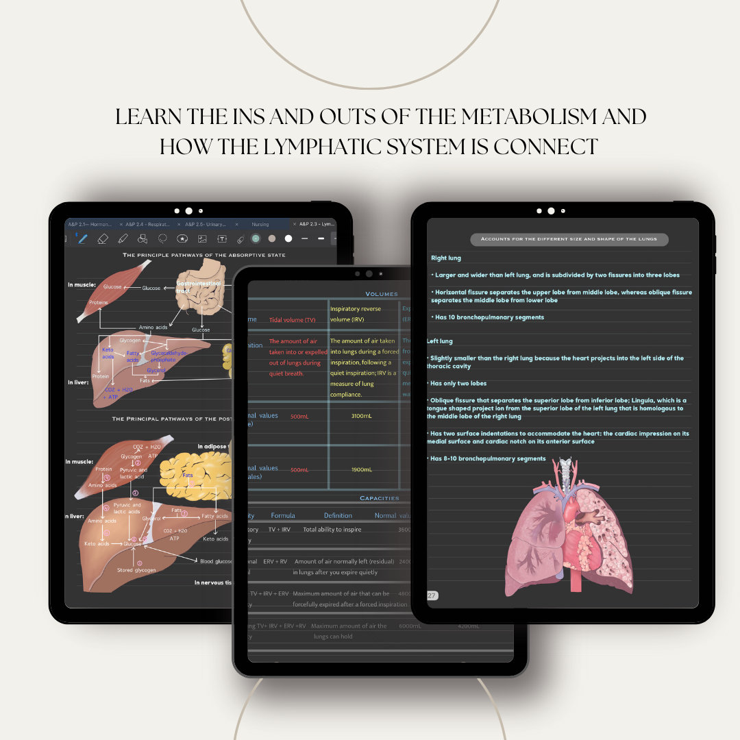 2.3 Anatomy and Physiology 2 Notes 27 Pages. Anatomy Made Extremely ...