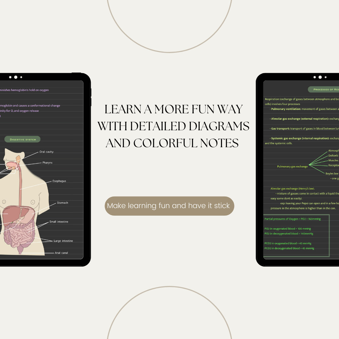 2.4 Anatomy and Physiology 2 Notes. Anatomy Made Extremely Easy. Get ...