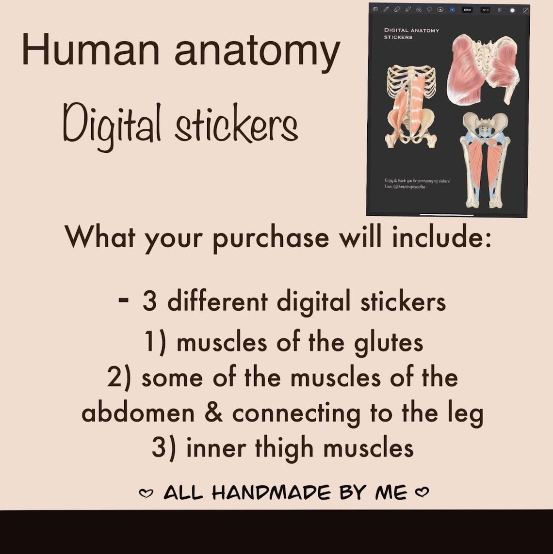 Human Anatomy Digital Stickers | Goodnotes Stickers, Digital Journal ...