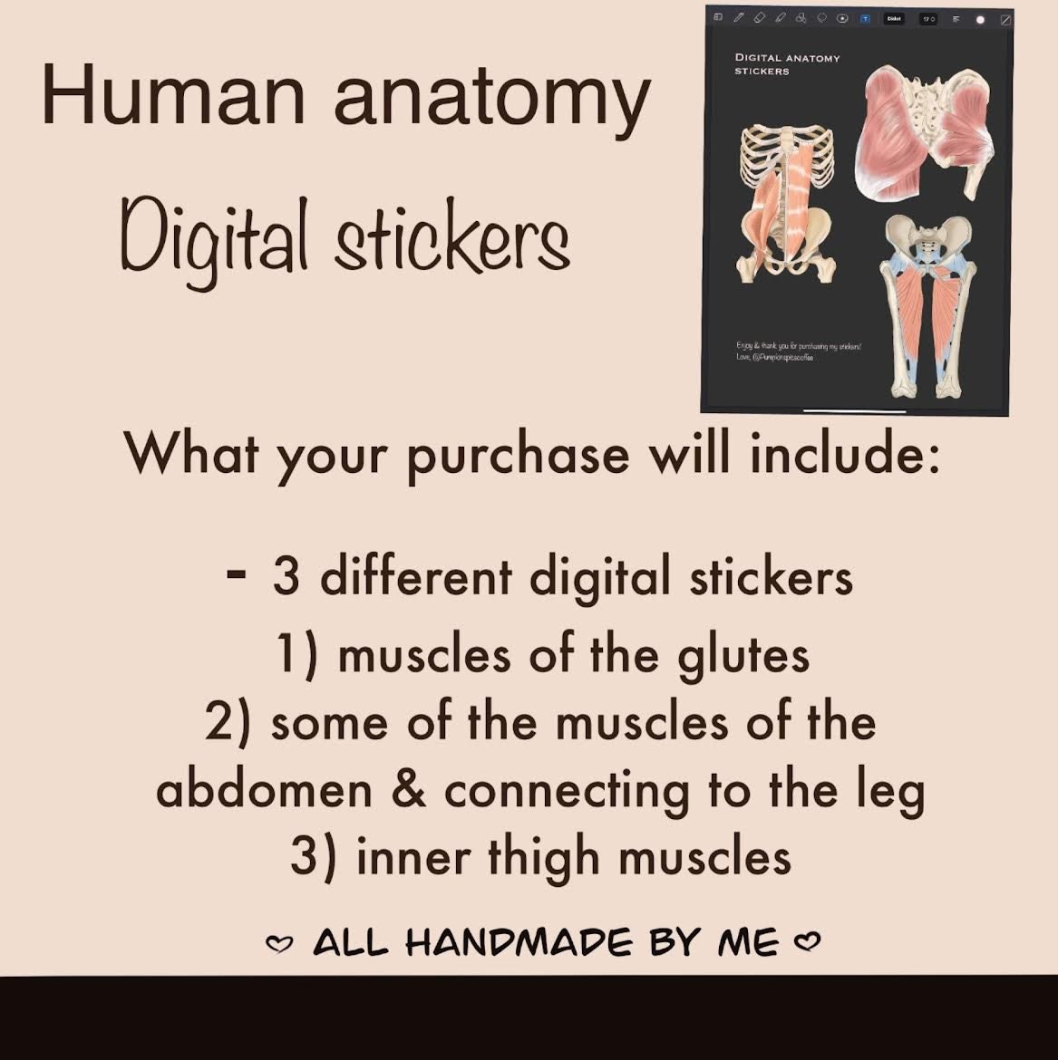 Human Anatomy Digital Stickers | Goodnotes Stickers, Digital Journal ...