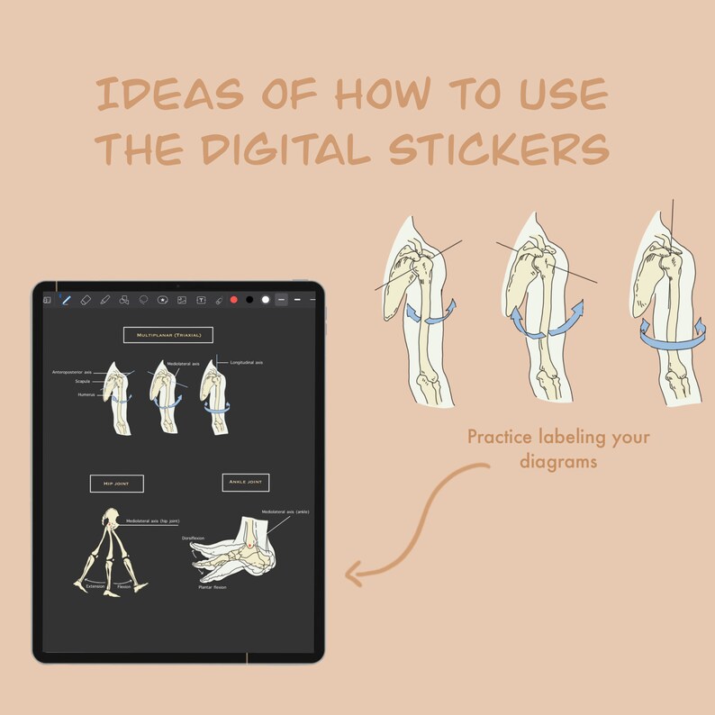 Major Movements Hand Drawn Digital Stickers Pack of #16 Dif. Stickers ...