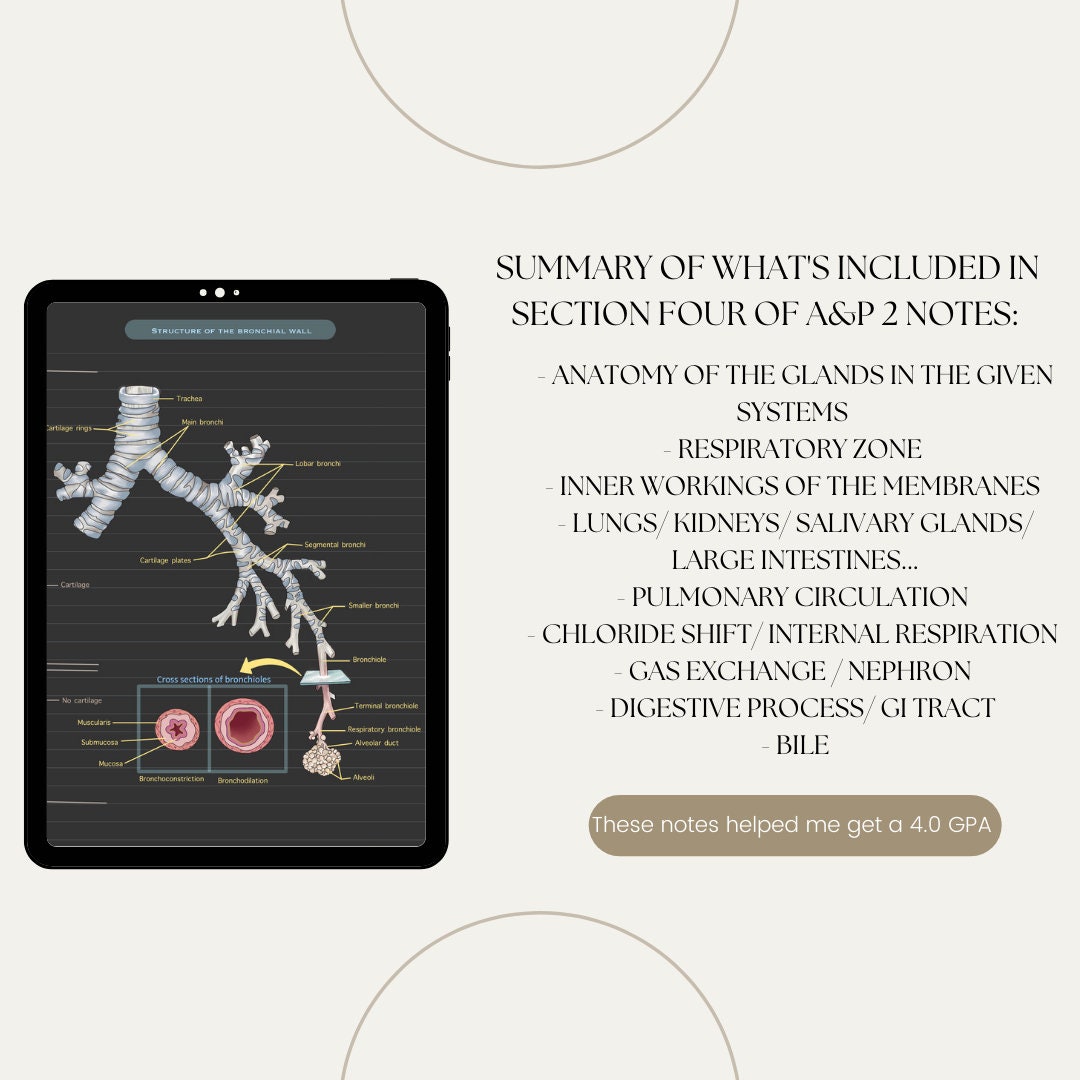 2.4 Anatomy and Physiology 2 Notes. Anatomy Made Extremely Easy. Get ...