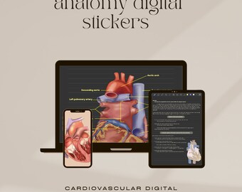 Anatomy Note Taking - Etsy