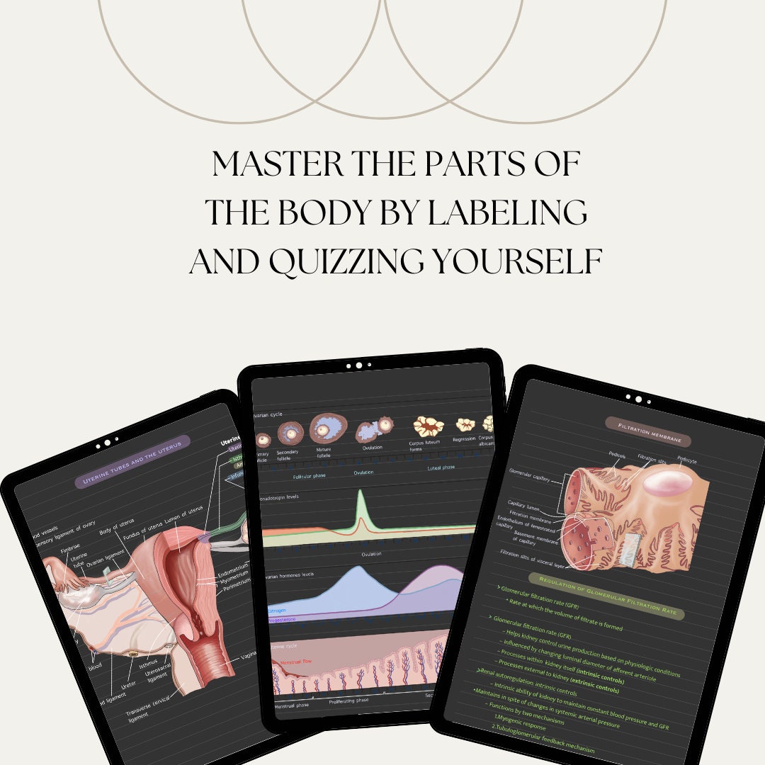 2.5 Anatomy and Physiology 2 Notes. Anatomy Made Extremely Easy. Get ...