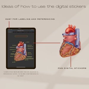 Hand Drawn Human Anatomy Digital Stickers Pack of #12 Dif. Stickers for ...