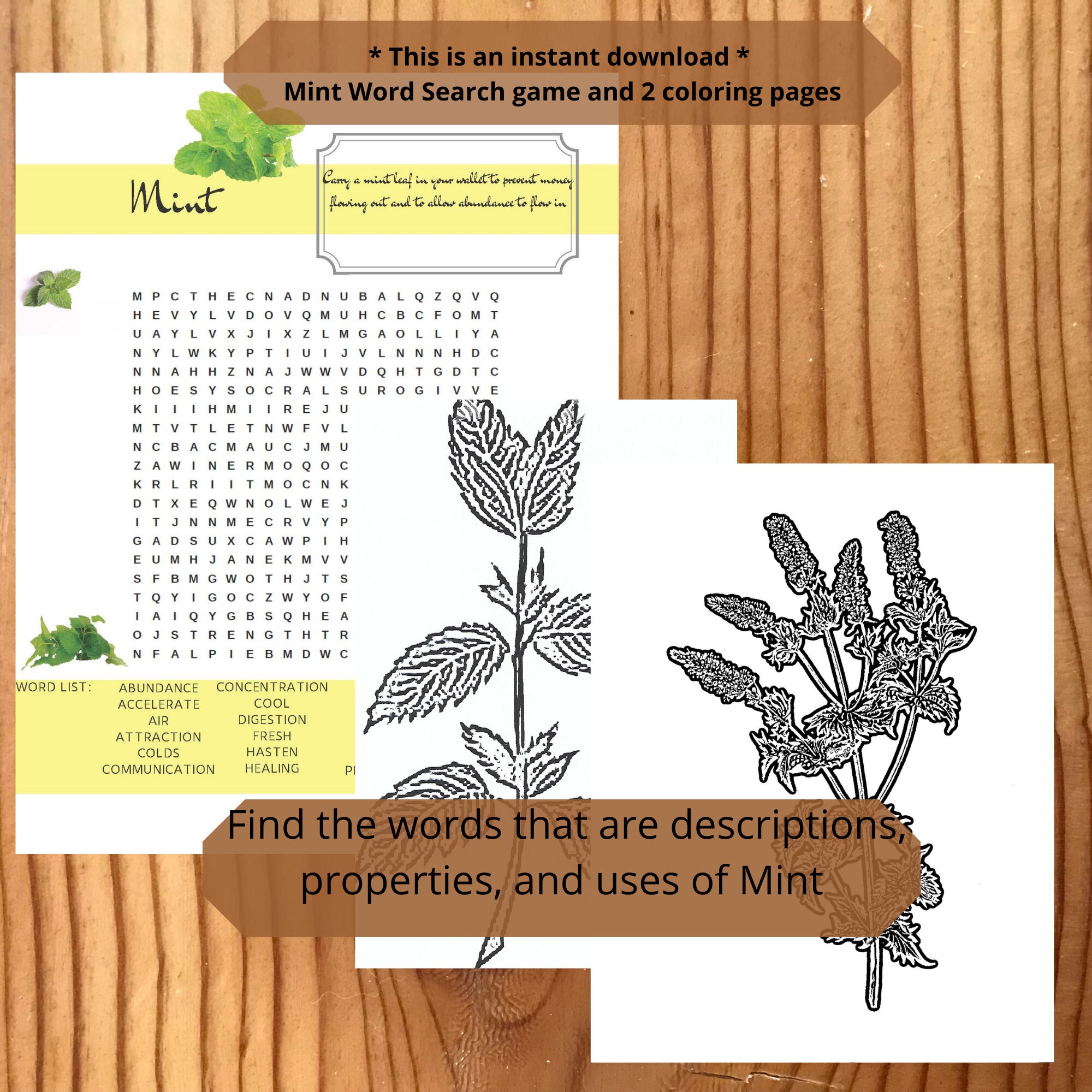 Word Search Digital Download Printable Game and Coloring - Etsy