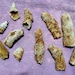 Lake of the Ozarks Rugose Coral Fossils - Etsy
