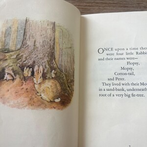 The Tale of Peter Rabbit by Beatrix Potter - Etsy