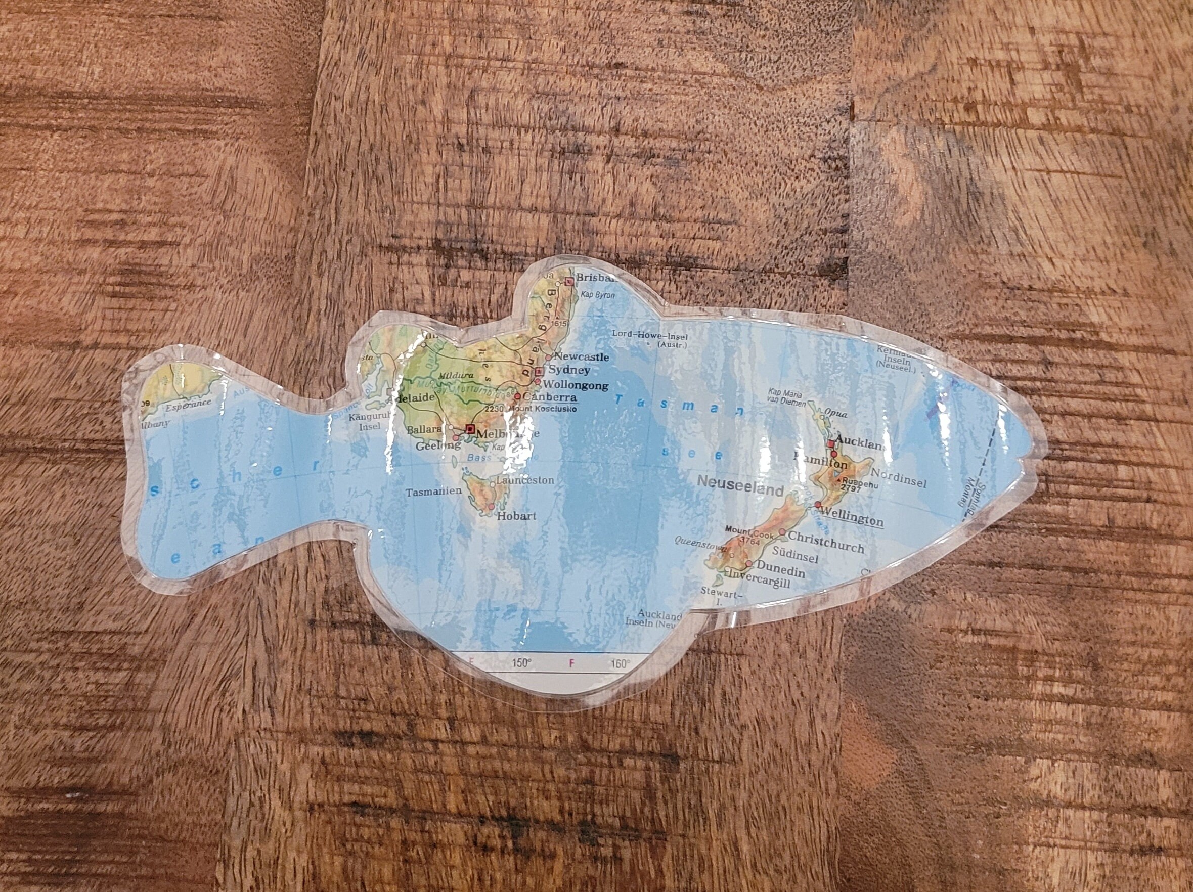 World Map Laminated Bookmark in Fish Shape Fish Sea, Cities, Country ...