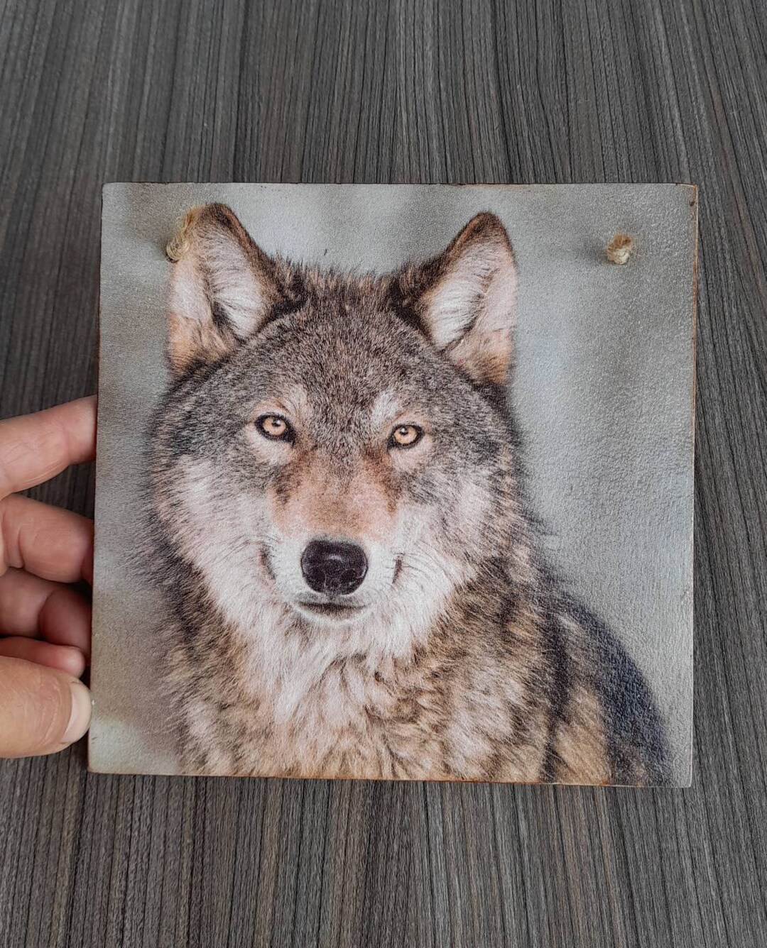 Wolf Decoupage Plaque 15 Cm. A Gift for Wolf Lovers. Spirit Animal, - Etsy