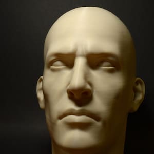 Extra Large Realistic Male Head Bust — Portrait Drawing Reference - Etsy