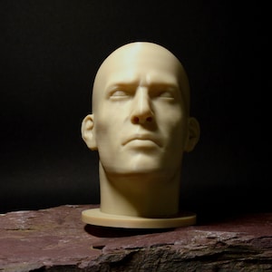 Extra Large Realistic Male Head Bust — Portrait Drawing Reference - Etsy
