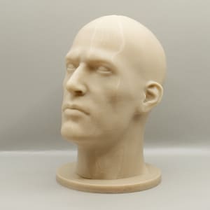 Male Realistic Head Bust XL 7 Inches & 9.2 Inches Portrait Reference ...