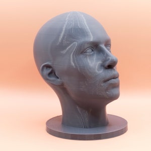 Female Realistic Head Bust | Portrait Reference Tool | Multiple Sizes ...