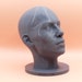 Female Realistic Head Bust | Portrait Reference Tool | Multiple Sizes ...
