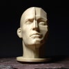 Female Realistic Head Bust Portrait Reference Tool Multiple Sizes - Etsy