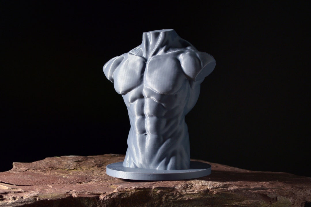 Male Torso Artists Mannequin | Male Anatomy Model | Figure Drawing ...