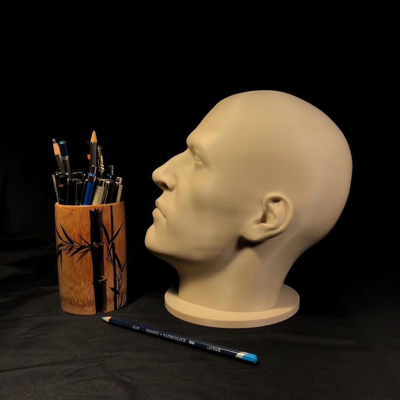 Extra Large Realistic Male Head Bust — Portrait Drawing Reference - Etsy