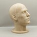 Male Realistic Head Bust | Portrait Reference Tool | Multiple Sizes - Etsy