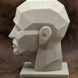 Planar Head, With Male & Female Torso Art Reference Collection Loomis ...