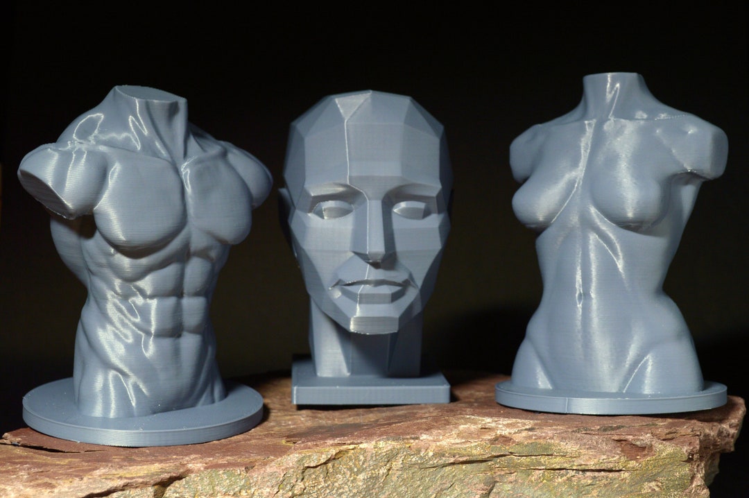 Planar Head, With Male & Female Torso — Art Reference Collection ...