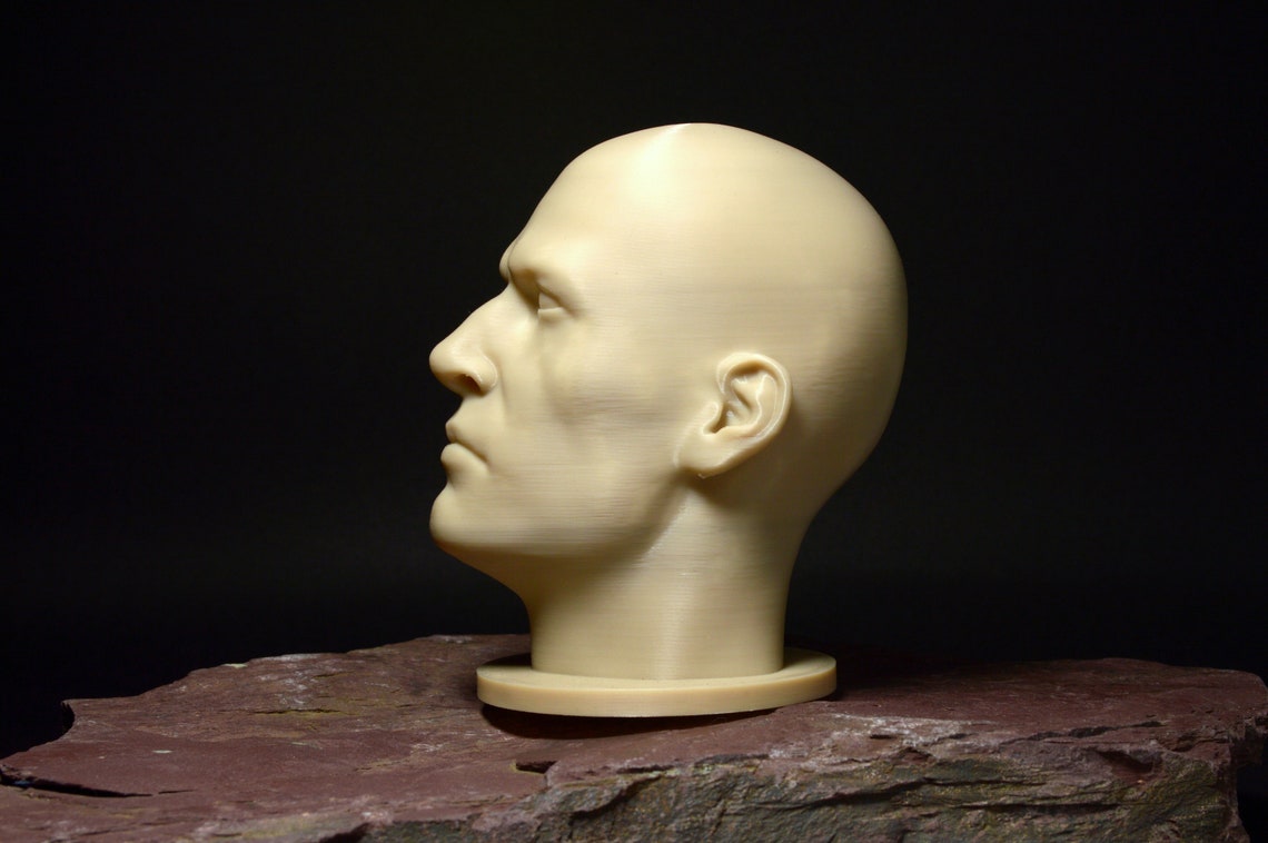 Extra Large Realistic Male Head Bust — Portrait Drawing Reference - Etsy
