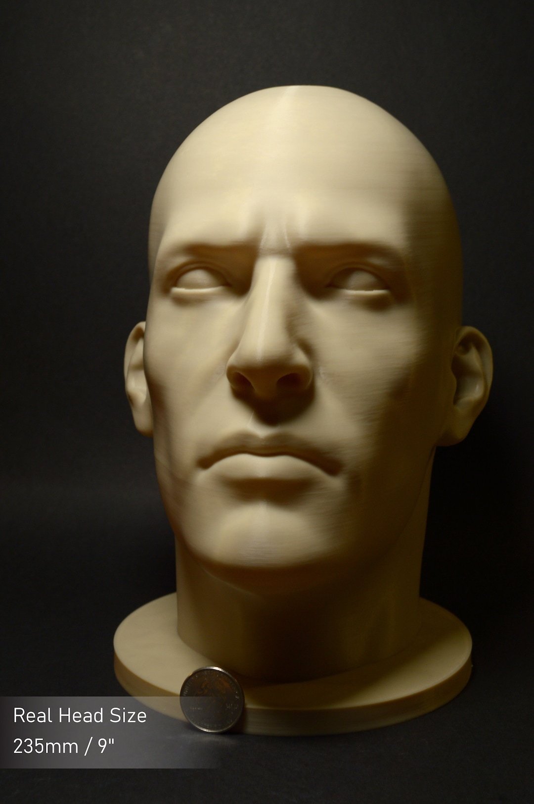 Male Realistic Head Bust XL 7 Inches & 9.2 Inches Portrait Reference ...