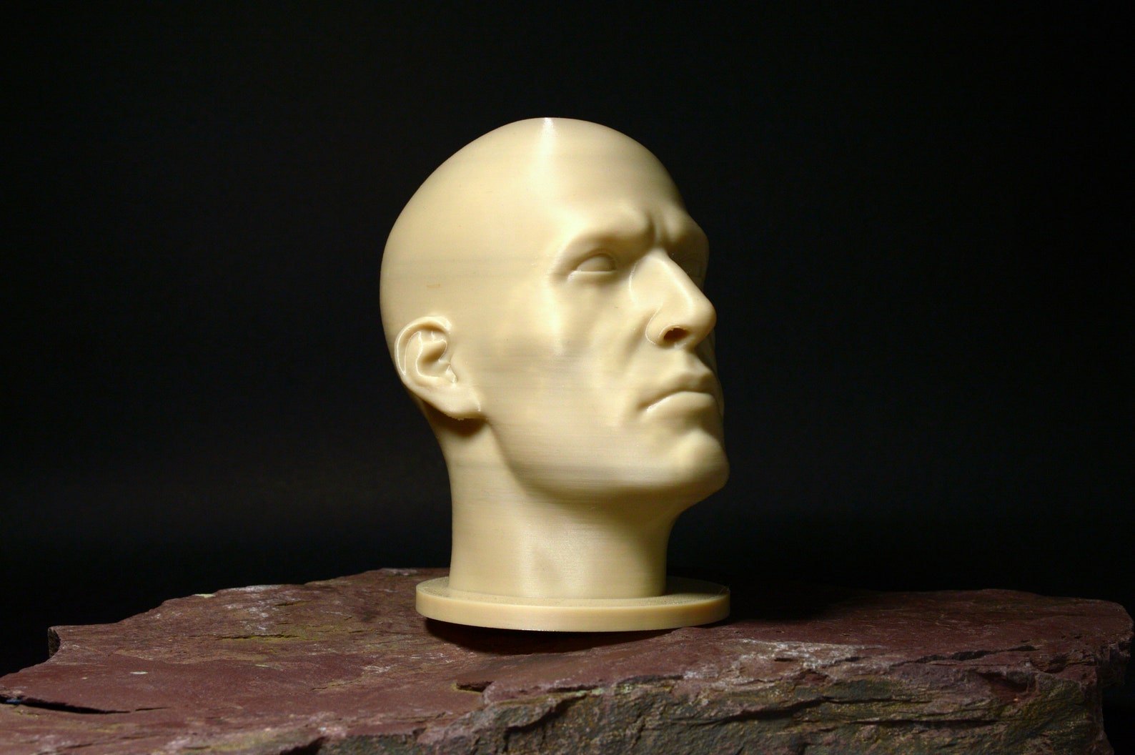 Extra Large Realistic Male Head Bust — Portrait Drawing Reference - Etsy