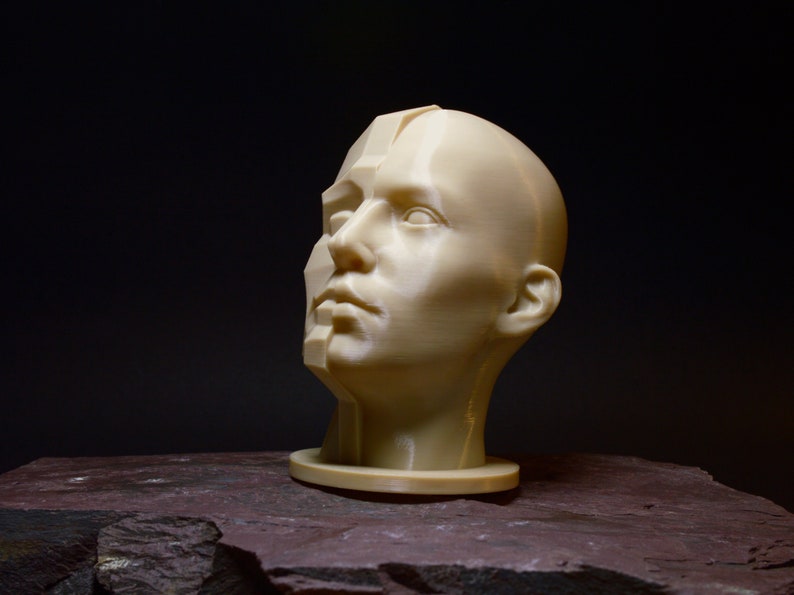 Female Planar Hybrid Head: 3D Bust for Portrait Drawing and Sculpting ...