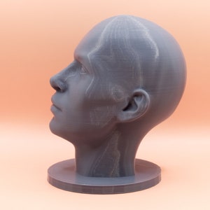 Female Realistic Head Bust | Portrait Reference Tool | Multiple Sizes ...