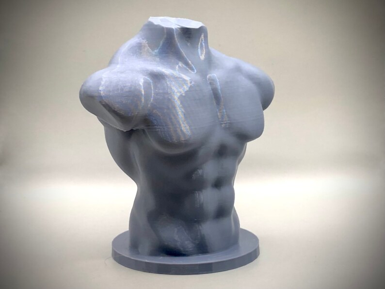 Male Torso Reference